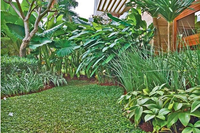 Taman yang Rimbun dan Ditata Indah - iDEA