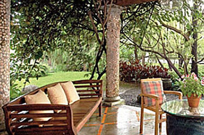 Rindang dengan Banyak Pilihan Tanaman - iDEA