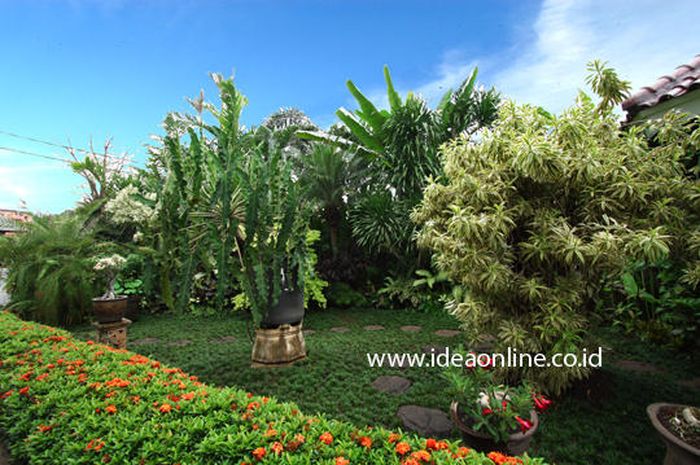 Taman Tropis: Sejuknya Berada di Antara Rimbunnya Tanaman - iDEA