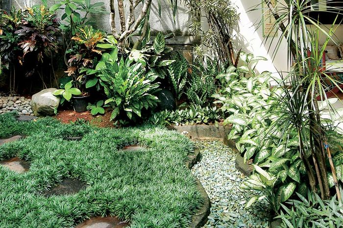 Paduan Rumput dan Batu yang Serasi - iDEA