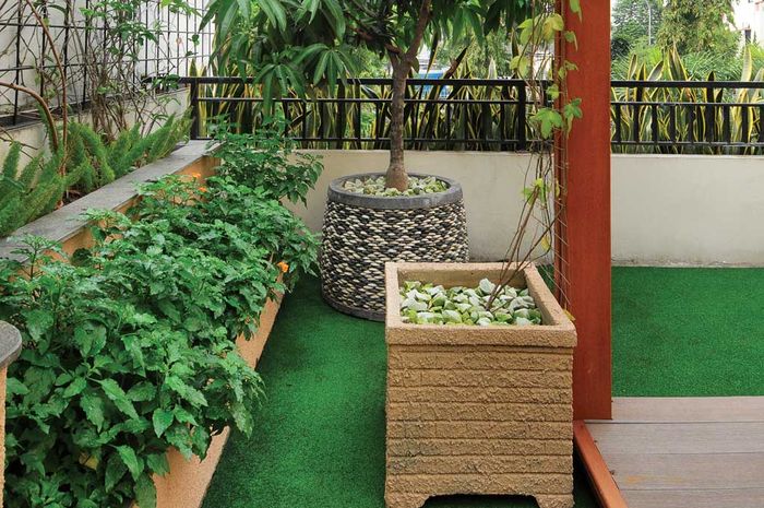 Ini Dia Tanaman yang Cocok untuk Roof Garden - iDEA