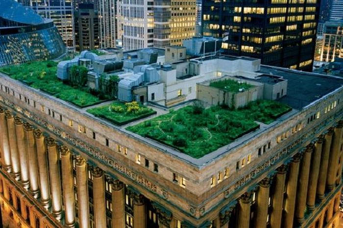 Mengenal lebih Jauh Atap Hijau - iDEA