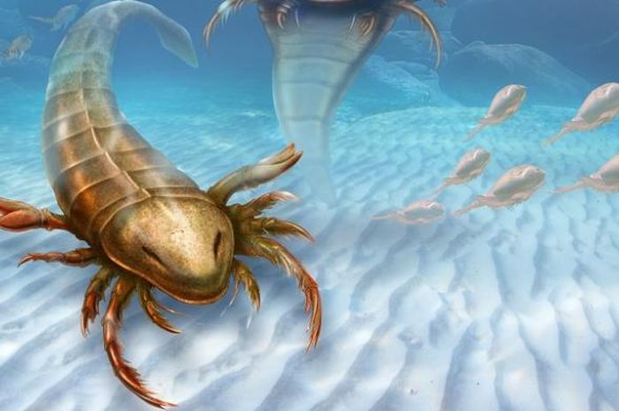 Pentecopterus Decorahensis, Kalajengking Seukuran Manusia yang Diduga ...