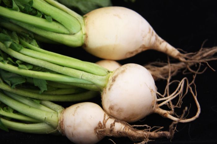 Lima Manfaat Kesehatan dari Lobak yang Perlu Diketahui! - Intisari