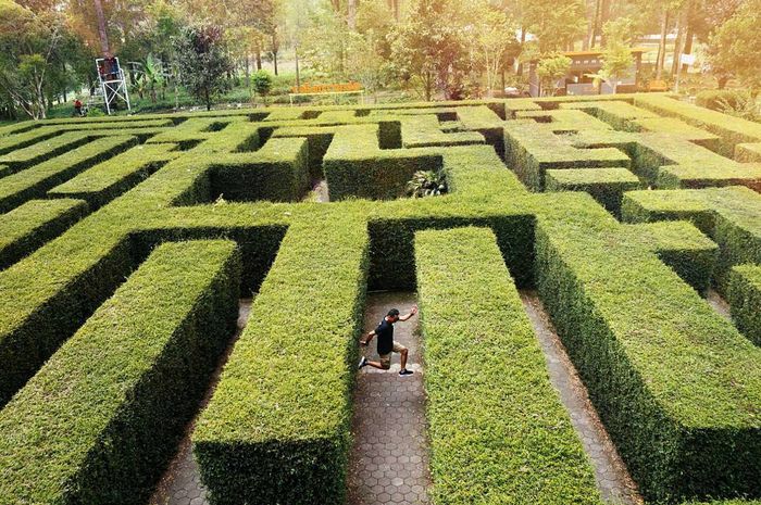 Layaknya Dalam Film Maze Runner, Wisata Labirin yang Masih Jarang di ...