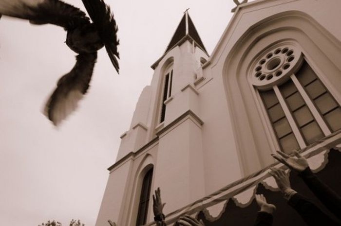 Melepas merpati - National Geographic