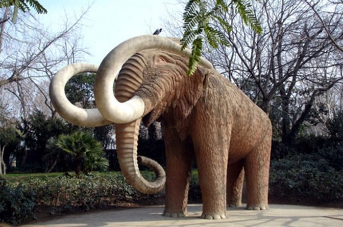 Mammoth mungkin dilahirkan kembali empat tahun mendatang - National ...