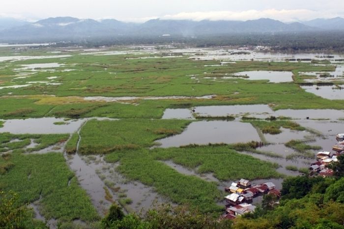 Umur Danau Limboto Tinggal 15 Tahun Lagi - National Geographic