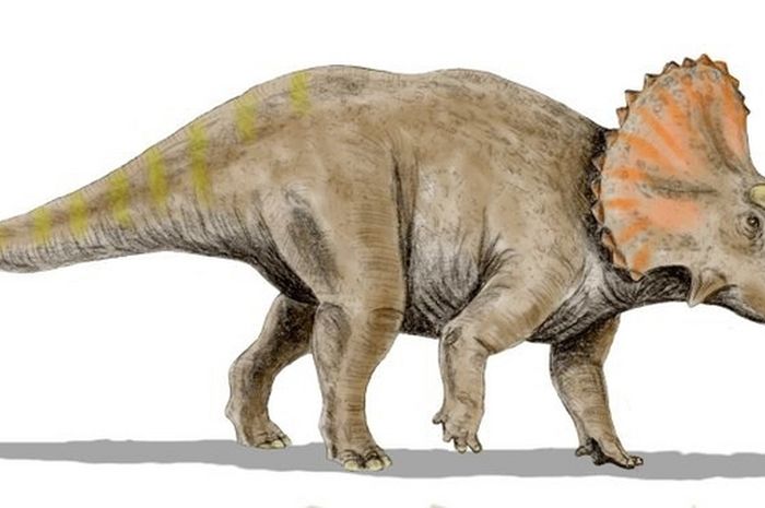 Dinosaurus Terakhir - National Geographic