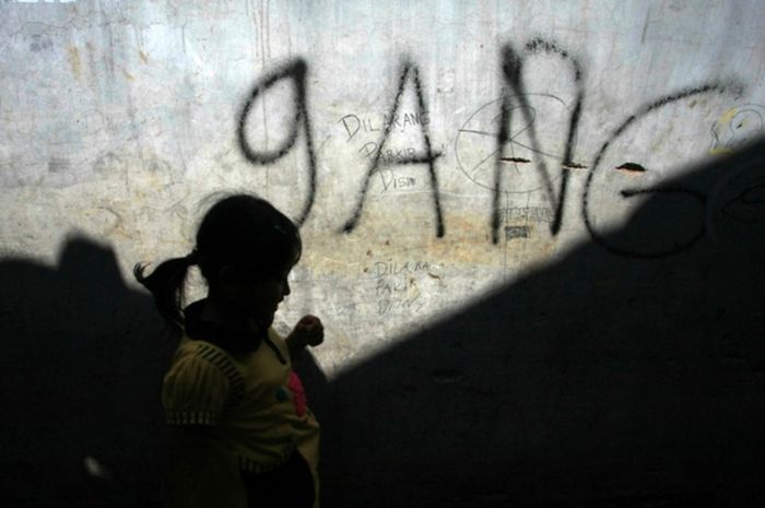 Gang Gelap - National Geographic