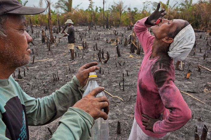 Daftar 10 Negara Sarang Perbudakan, Indonesia "Juru Kunci" - National ...