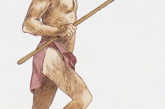 Homo Erectus Lebih Pintar dari Perkiraan - National Geographic