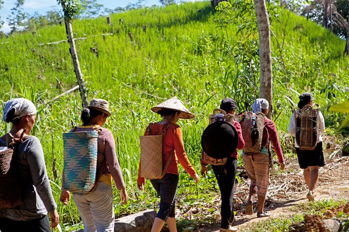 Inspirasi Gerakan Perjuangan Masyarakat Adat di Nusantara dan Dunia ...