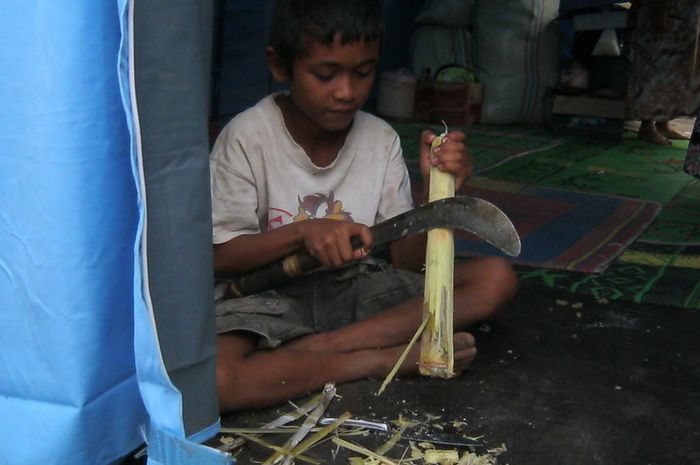 Sisa Tebu yang "Pahit" - National Geographic