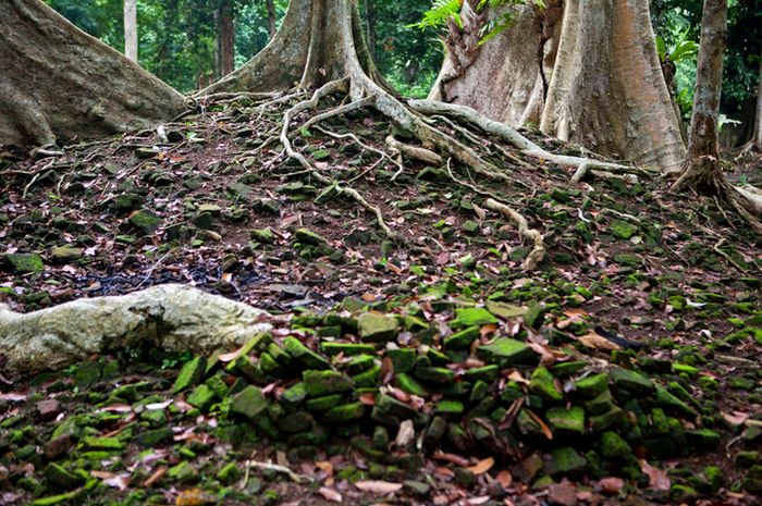 Gundukan Tanah Bernilai Ilmiah - National Geographic