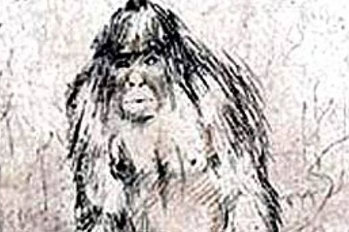 Apakah Misteri Yeti Berhasil Terungkap? - National Geographic