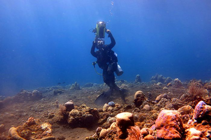 Coral Day, Sebagai Pengingat Pentingnya Ekosistem Terumbu Karang ...
