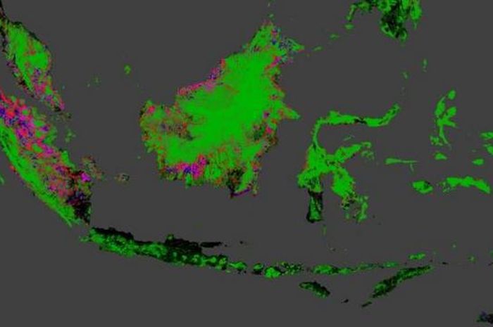 Google Earth Tunjukkan Wajah Menyedihkan Hutan Indonesia - National ...
