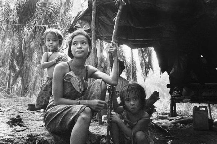 Budaya Orang Rimba Diusulkan Jadi Bahan Ajar - National Geographic