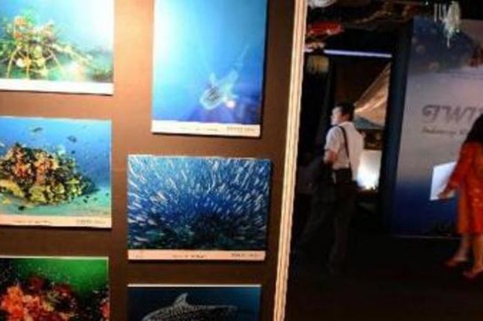 Pameran Foto Terbaik Bawah Laut Indonesia Digelar di Jakarta - National ...