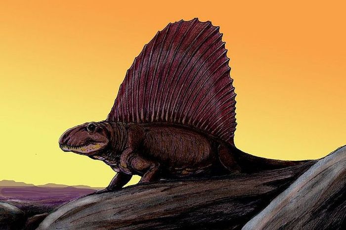 Bagaimana Kepunahan di Periode Permian Dijelaskan? - National Geographic