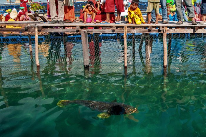 Pulau Tiga, Kepulauan Natuna - National Geographic