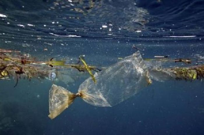 Plastik 'Biodegradable' adalah Suatu Kebohongan Besar - National Geographic
