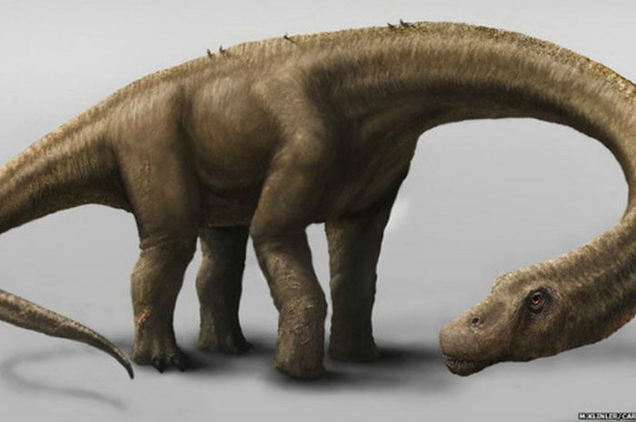Fosil Dinosaurus Terbesar Telah Ditemukan - National Geographic
