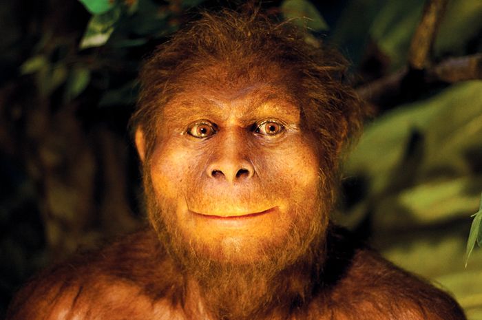 Senyum Homo Erectus - National Geographic