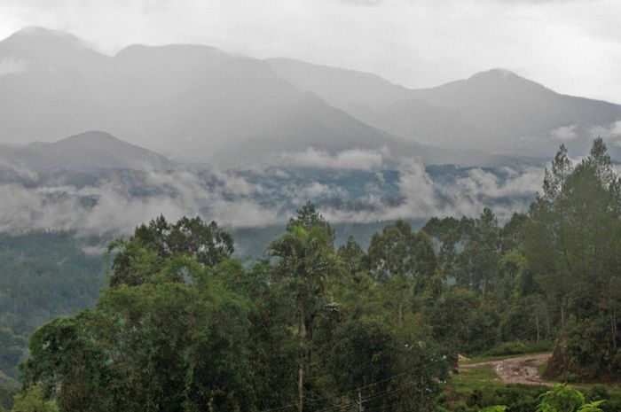 Nikmati Destinasi Wisata Baru Toraja, Negeri Atas Awan - National ...