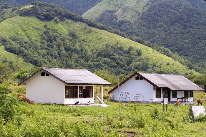 Program Transmigrasi Orba: dari Kepentingan Bisnis Berbuah Ketimpangan ...