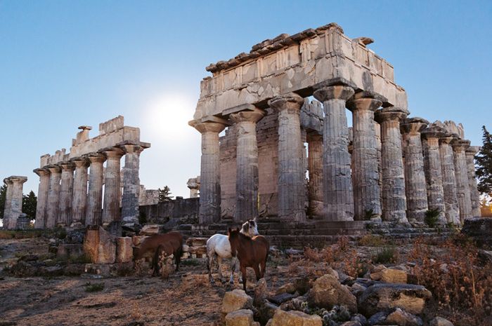 Pilar-pilar Kuil Zeus - National Geographic