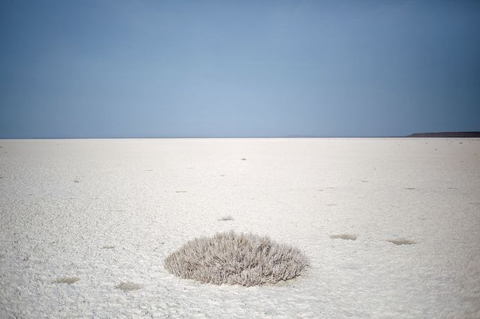 Tragedi Laut Aral - National Geographic