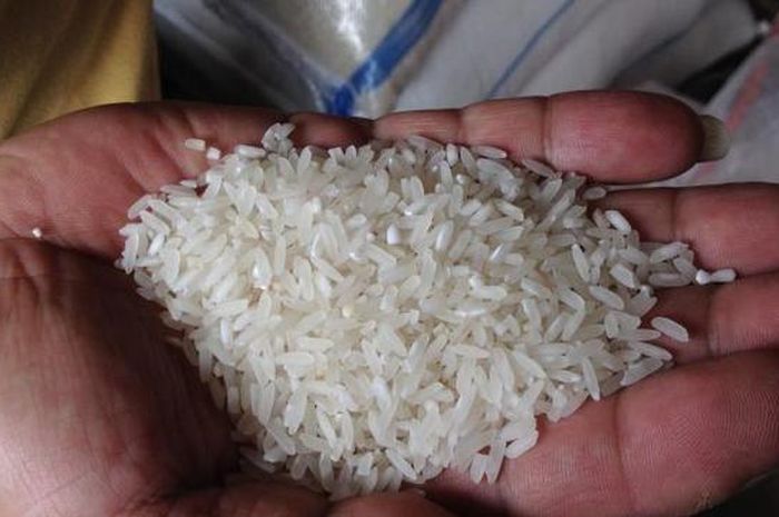Ketahui Cara Bedakan Beras Plastik dan Beras Asli - National Geographic