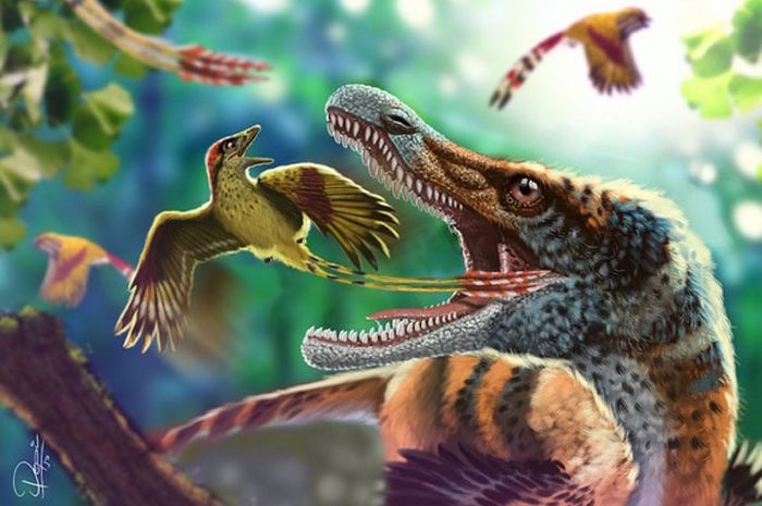 Burung dari Zaman Purba - National Geographic