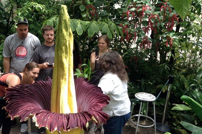 Mengapa Sebagian Orang Menyukai Bau yang Menjijikkan? Ini Alasannya ...