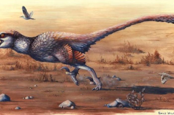 Fosil Raptor Raksasa Ditemukan di Dakota Selatan - National Geographic