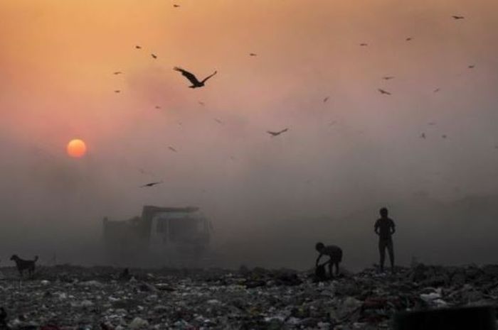 Seperti Pengemudi Ojek, Hari Ini Pemulung Sampah Punya Aplikasi ...