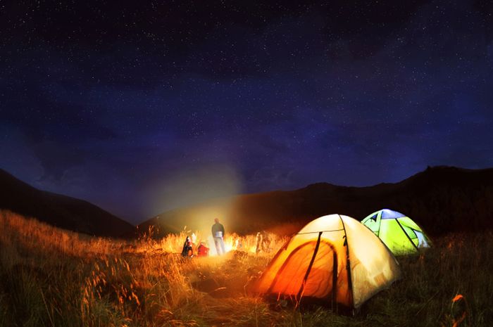 3 Tips Menghindari Serangan Babi Hutan Saat Mendaki Gunung - National ...