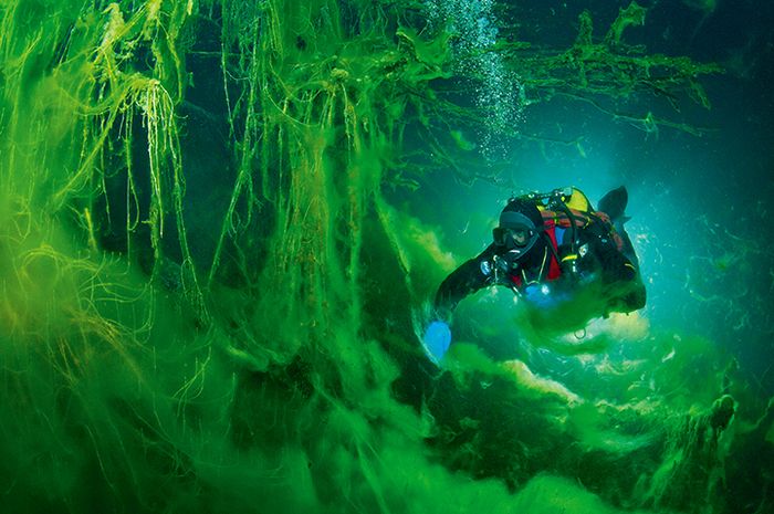 Menyelami Danau Karst Terdalam - National Geographic