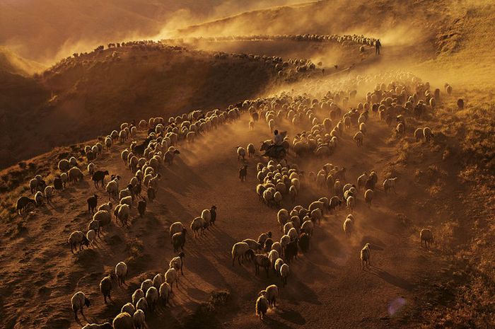 Bentang Alam - National Geographic