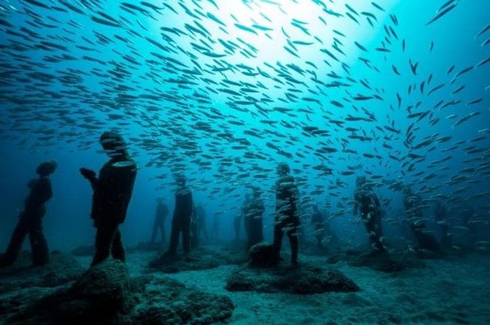 Museo Atlantico, Museum Bawah Laut yang Didedikasikan untuk Laut dan ...