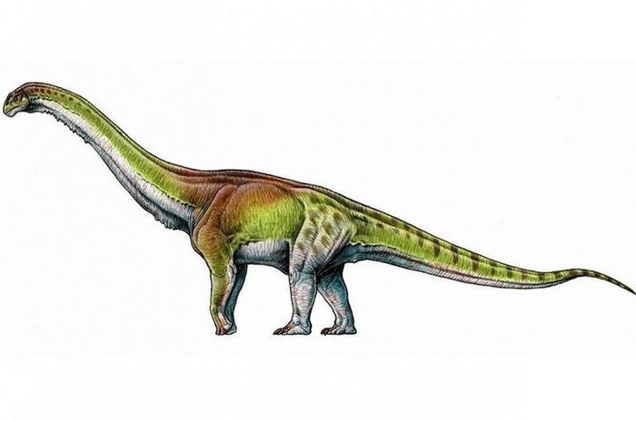 Dinosaurus Terbesar Ditemukan, Bobotnya Setara Tumpukan 12 Gajah ...