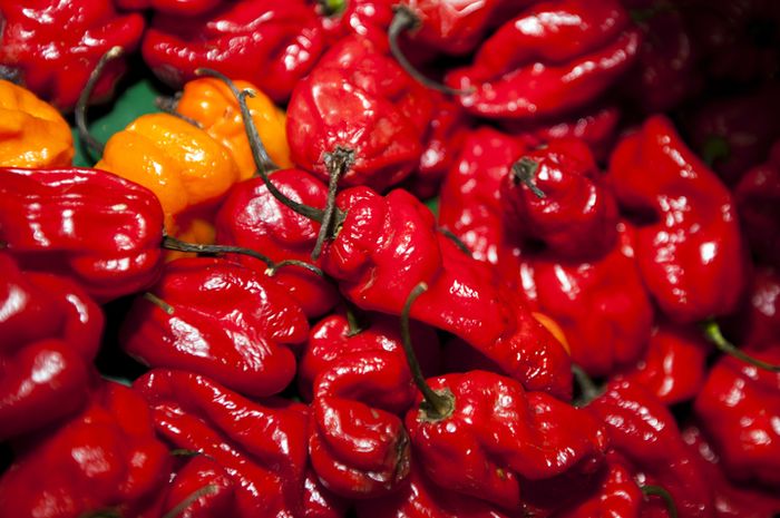 Mengapa Cabai Rawit Lebih Pedas Daripada Cabai Merah Biasa? - Semua ...
