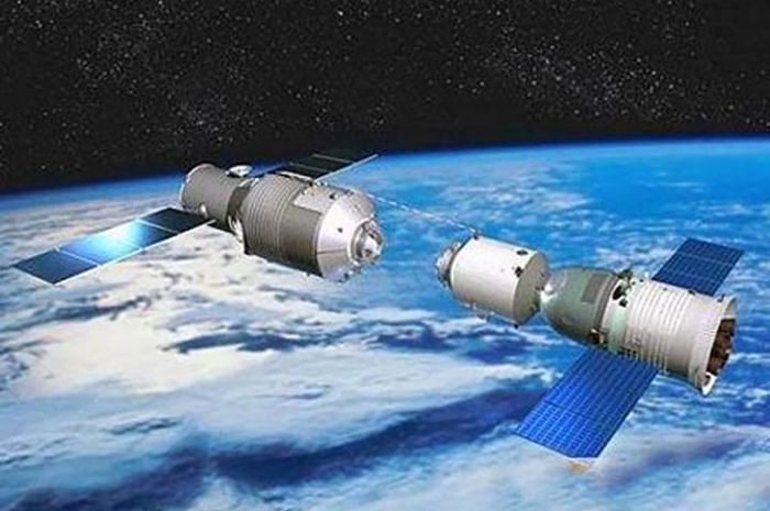 Terlihat Biasa, Ternyata Bunga Ini Bunga Pertama yang Mekar di Ruang ...