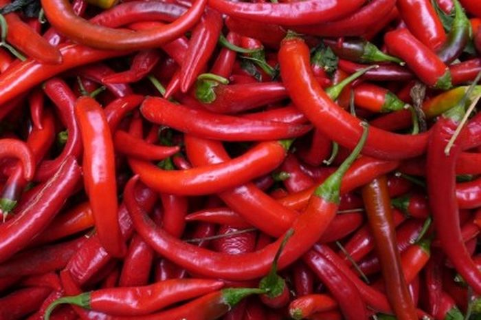 Olahan Cabai Keriting - Sajian Sedap