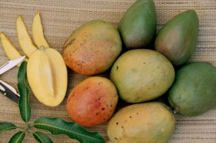 Mangga Dari Berbagai Negara (Bagian 1) - Sajian Sedap