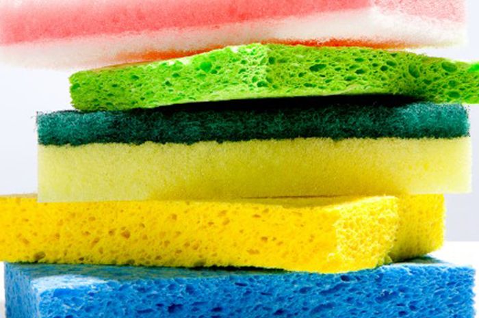 Mulai dari Jenis Hingga Waktu Idea Menggantinya, Ini Dia 4 Fakta Spons ...