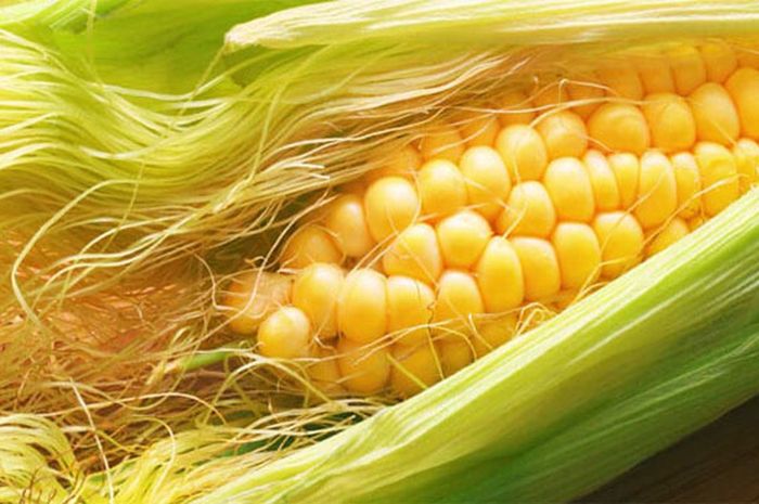 Jangan Dibuang! Rambu Jagung Ternyata Bisa Jadi Obat Panas Dalam yang ...