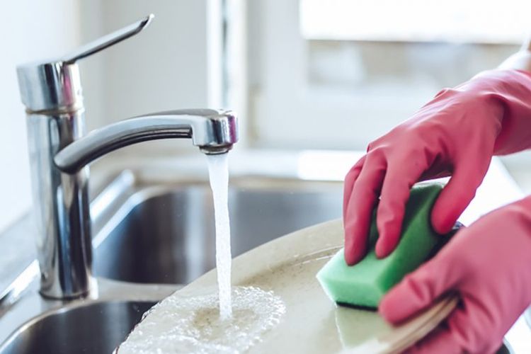 Terungkap Faktanya, Ini Dia 4 Jenis Spons yang Wajib Diketahui dan ...